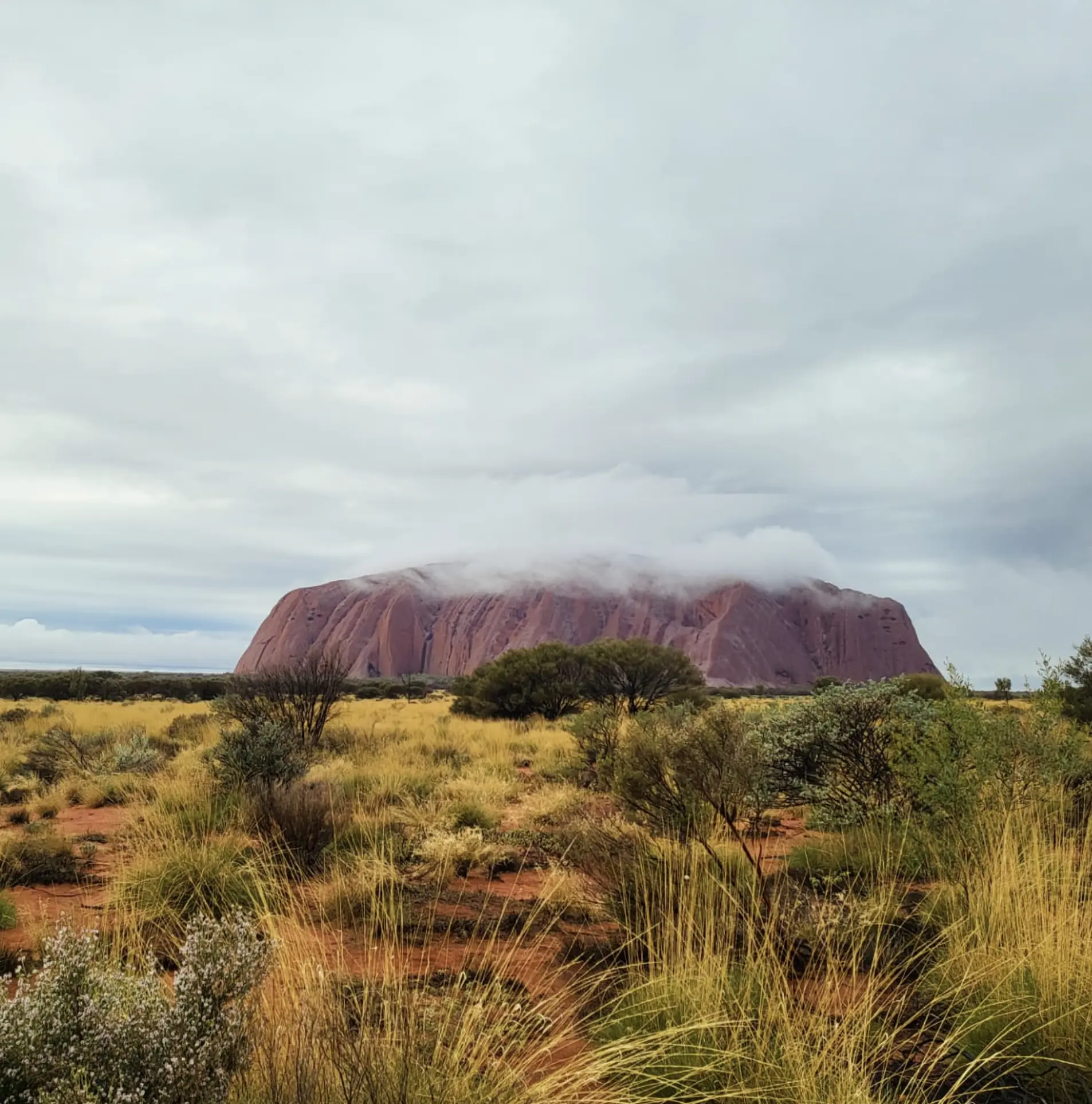 Why Visit Uluru? Tours, Culture, Tips